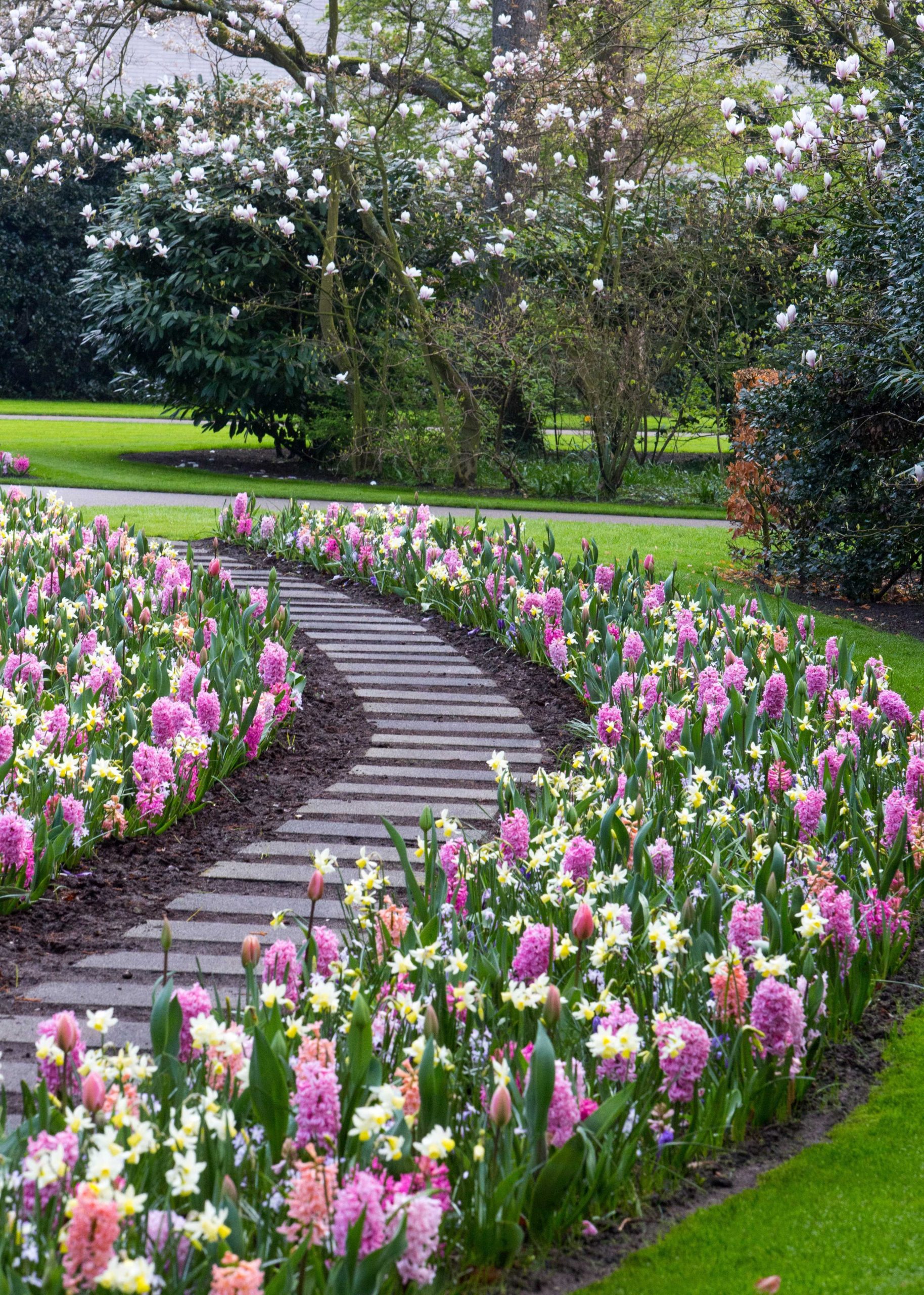 Landscaping with Hyacinths | Ruigrok Flowerbulbs